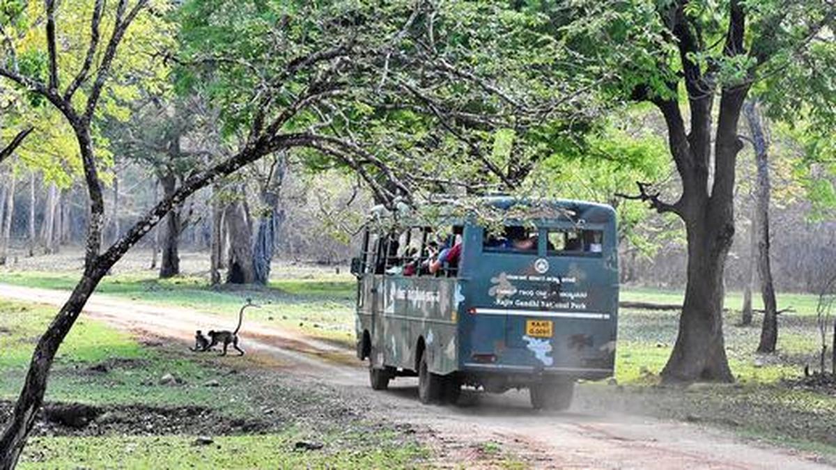 Safari at Kabini backwaters is just a click away - The Hindu
