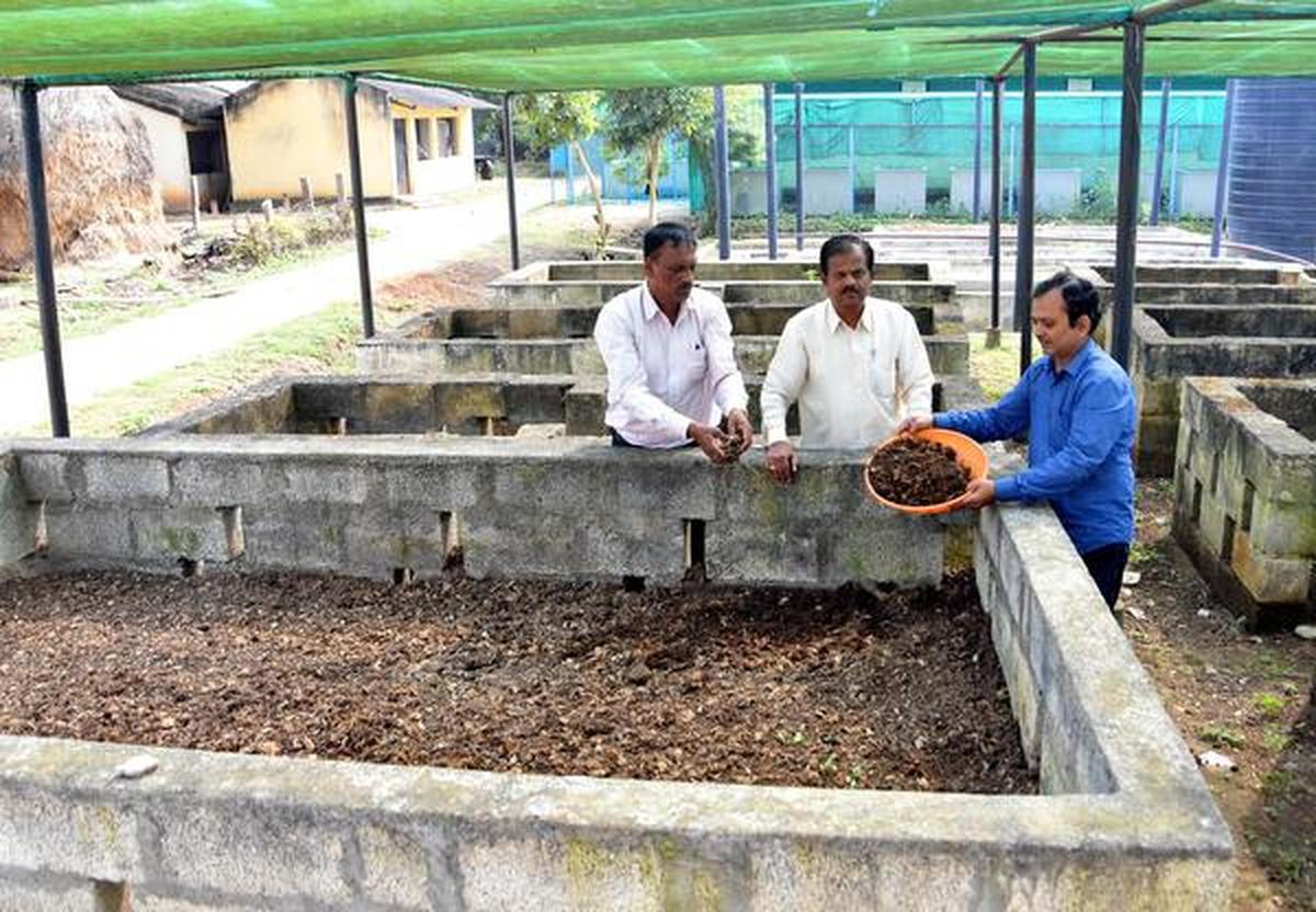 UAHS develops technology to hasten decomposition of areca waste - The Hindu