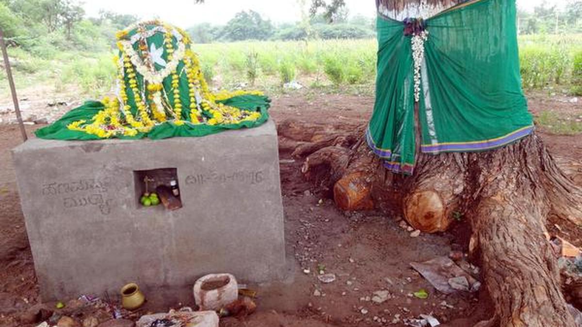 Man buried 56 years ago, ‘buried’ again - The Hindu