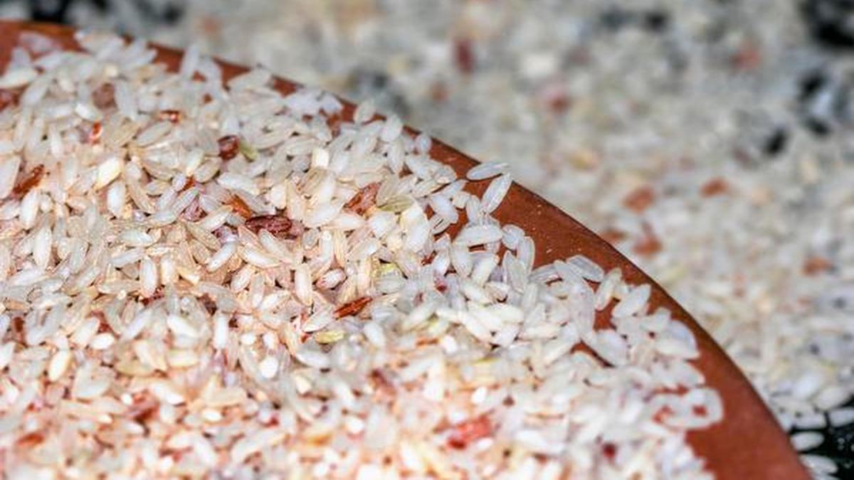 Popular Rajamudi rice may go off the shelf soon - The Hindu