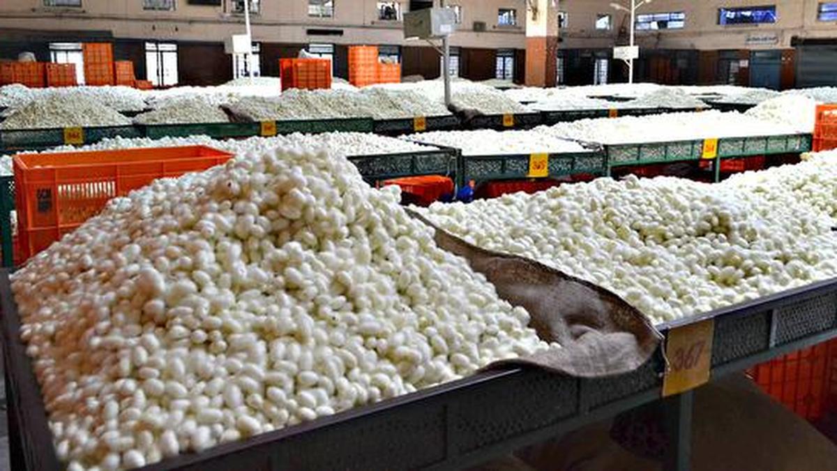 Cash gives way to cheque transactions at cocoon markets - The Hindu