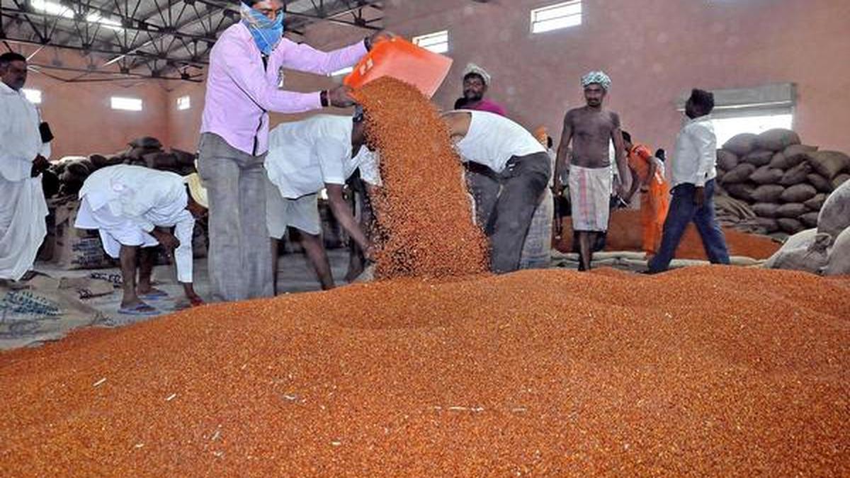 Despite drought, State sees record toor dal production - The Hindu