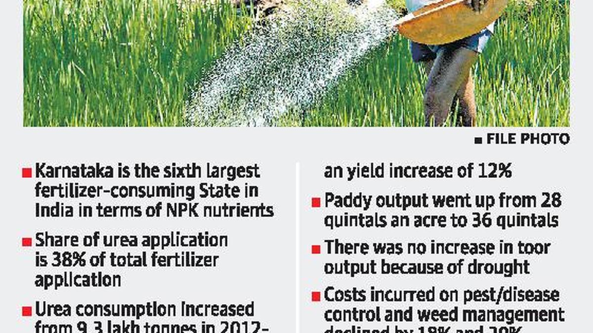 Neem-coated urea can bring better paddy output, finds study - The Hindu
