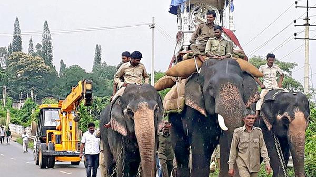 Rehearsal begins for Shivamogga Jamboo Savari - The Hindu
