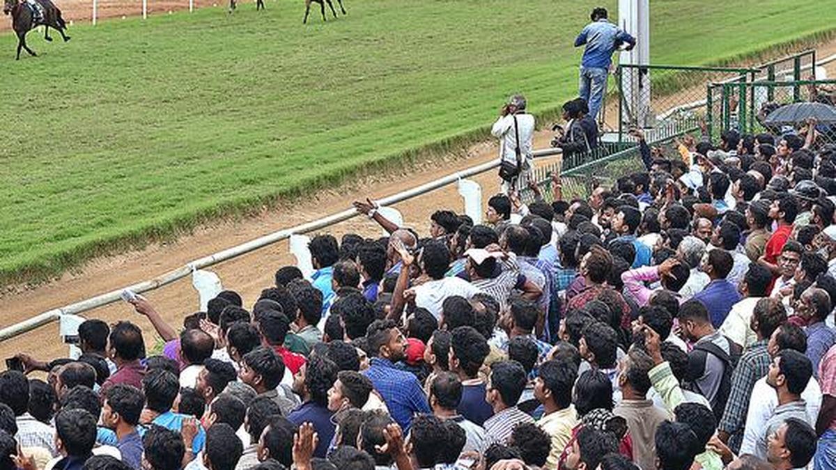Question mark over winter races at Bangalore Turf Club - The Hindu