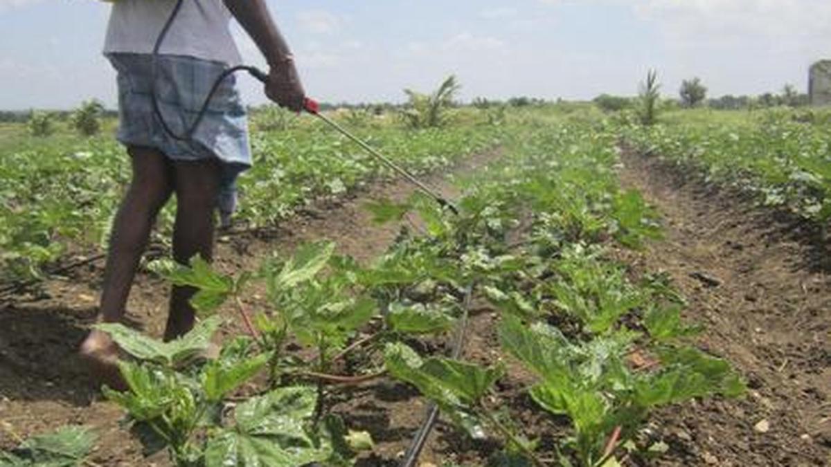 Irrigation project complete, inauguration awaited - The Hindu