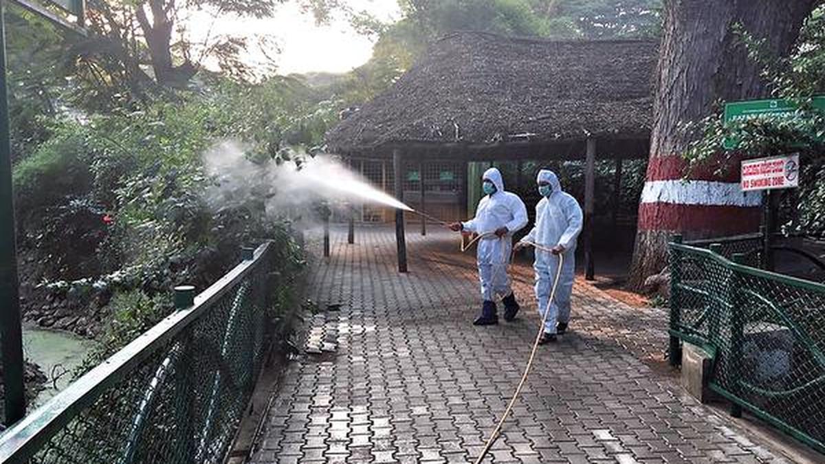 Bird flu in Bengaluru has zoo, Karanji park on alert - The Hindu