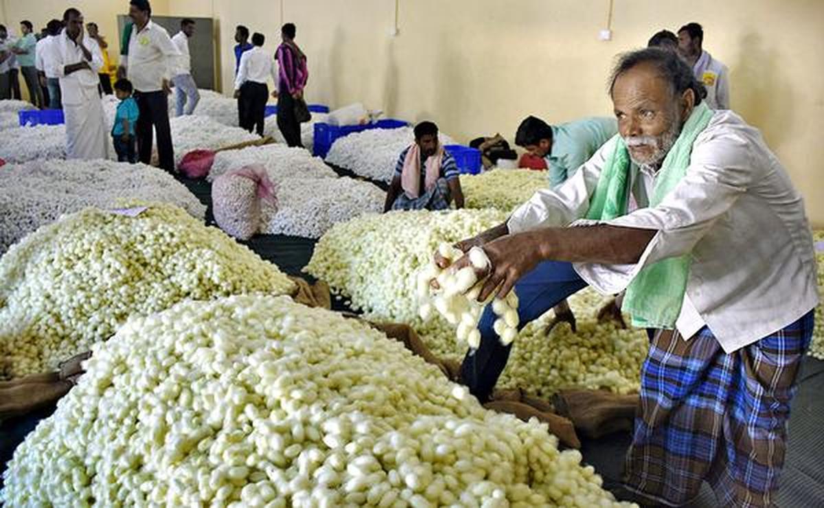 Marketing Of Cocoons