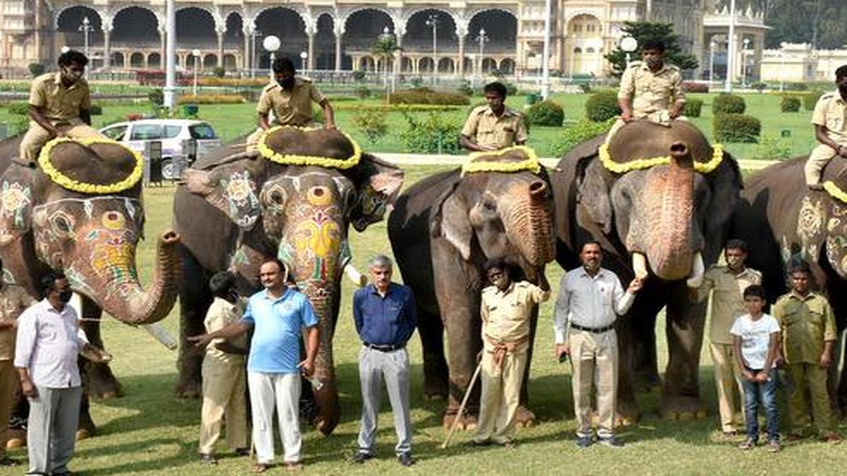 Elephant Abhimanyu and team head back to jungle camps - The Hindu