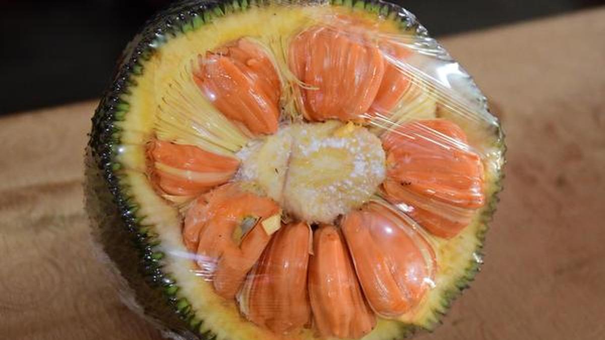 Game for chocolate, biscuit made with jackfruit seed powder? - The Hindu