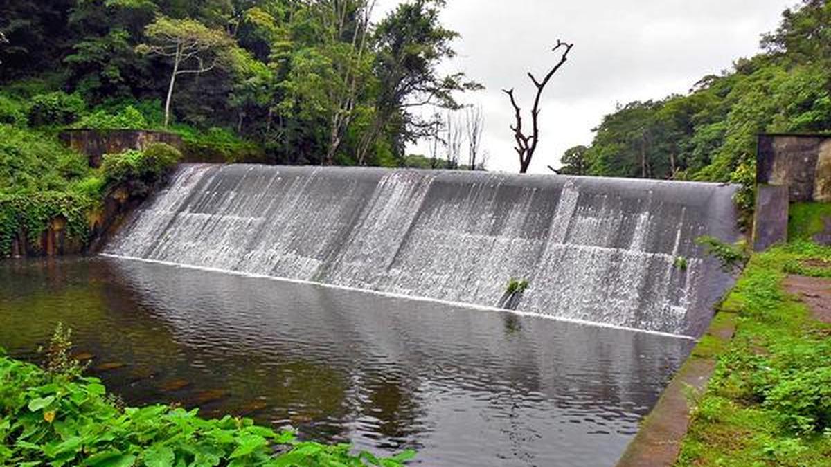 Gusty winds, rains disrupt life in Shivamogga dist. - The Hindu