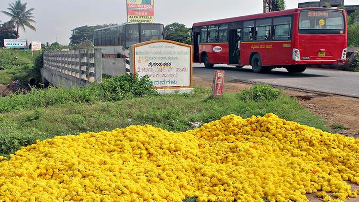 Karnataka set to add value to its flower power - The Hindu