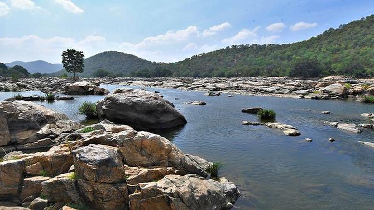 Karnataka will implement Mekedatu project: Bommai - The Hindu