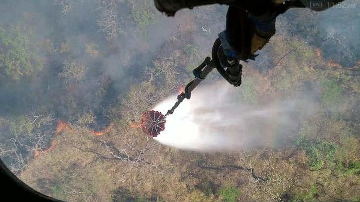 More than 15,000 acres of forest ravaged by fire in Bandipur - The Hindu