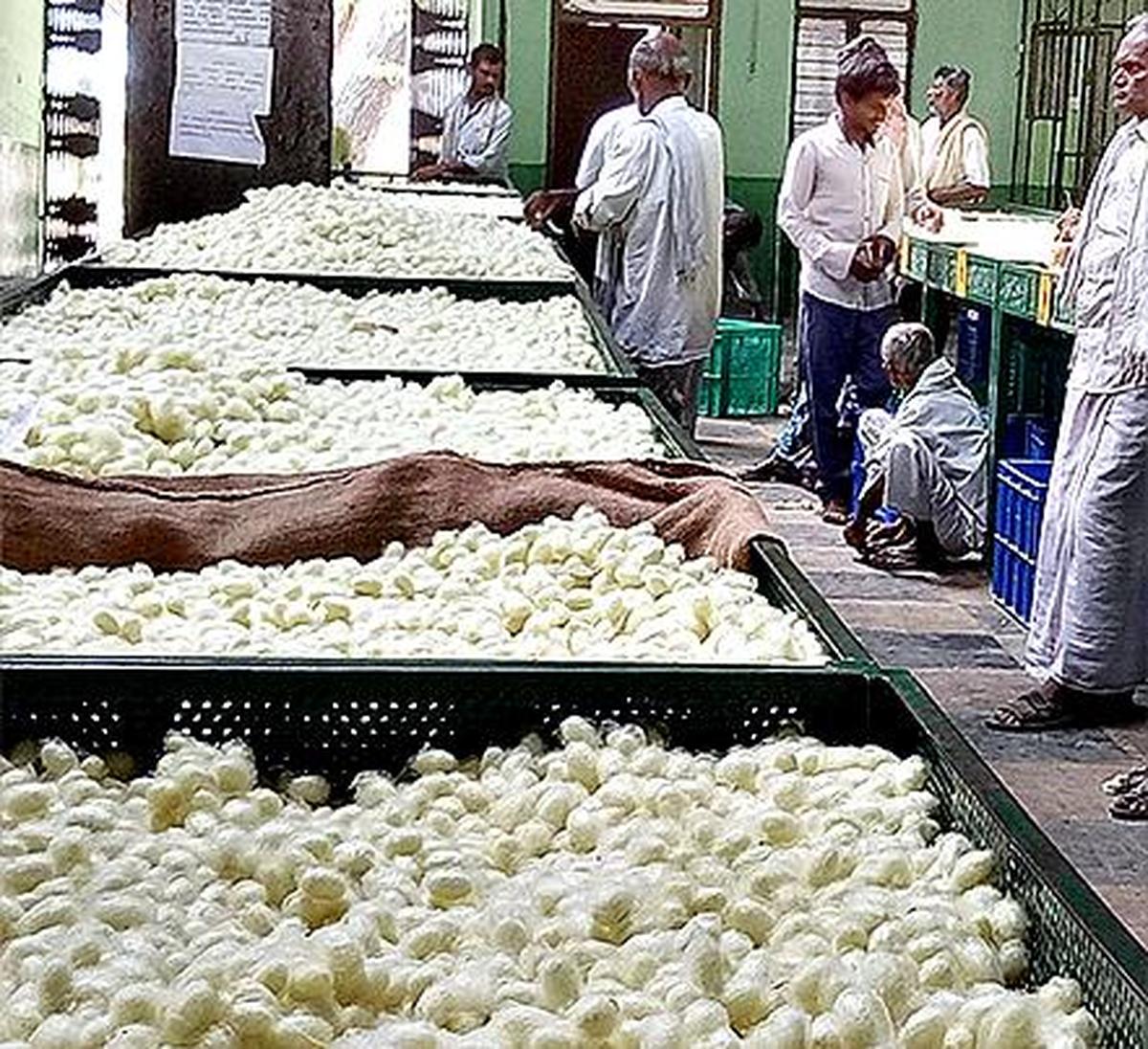 Marketing Of Cocoons