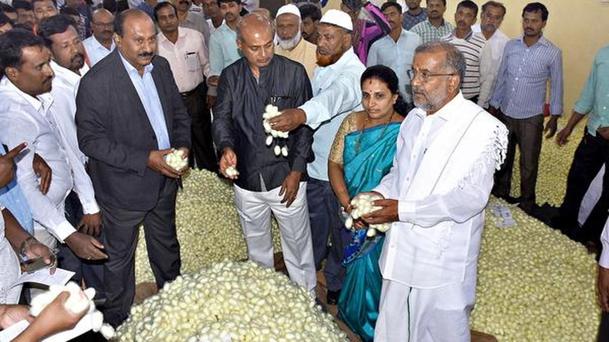 Mysuru cocoon market opens - The Hindu