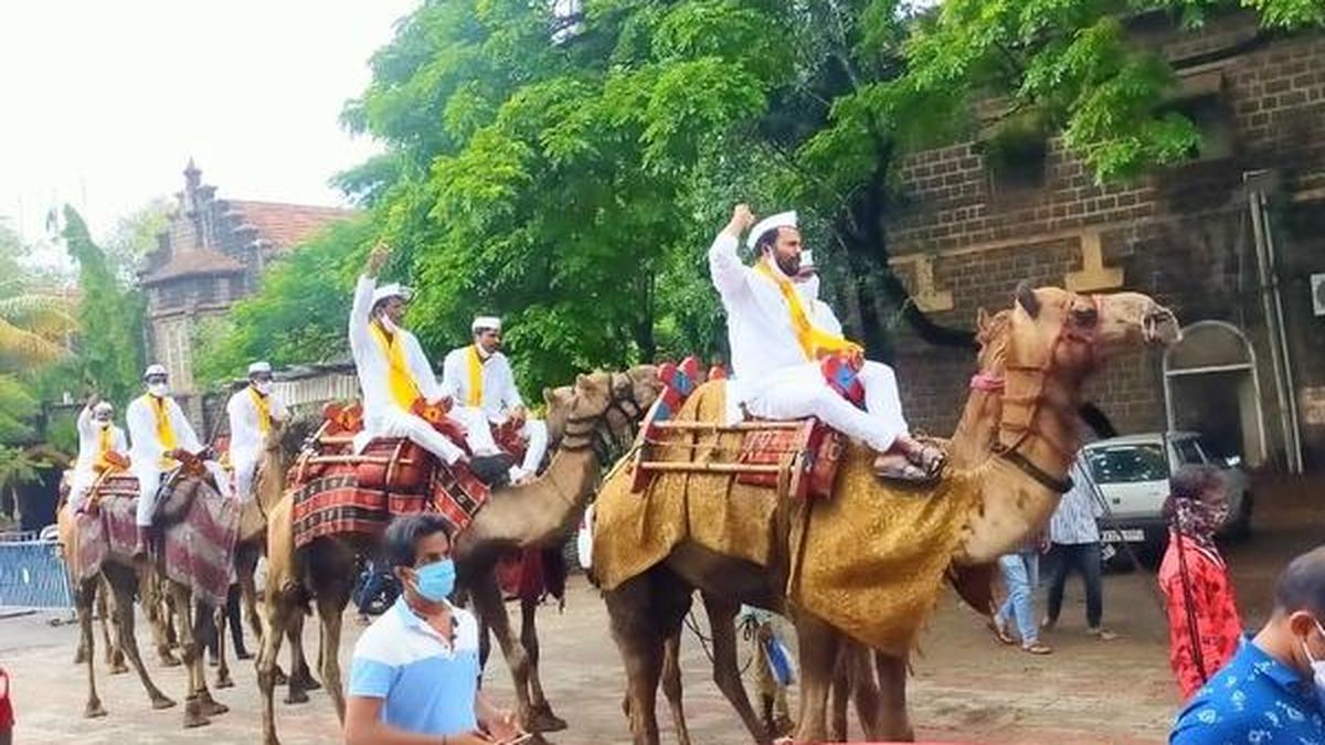 Camel rally by supporters of Ramesh Jarkiholi seeking inclusion in ...