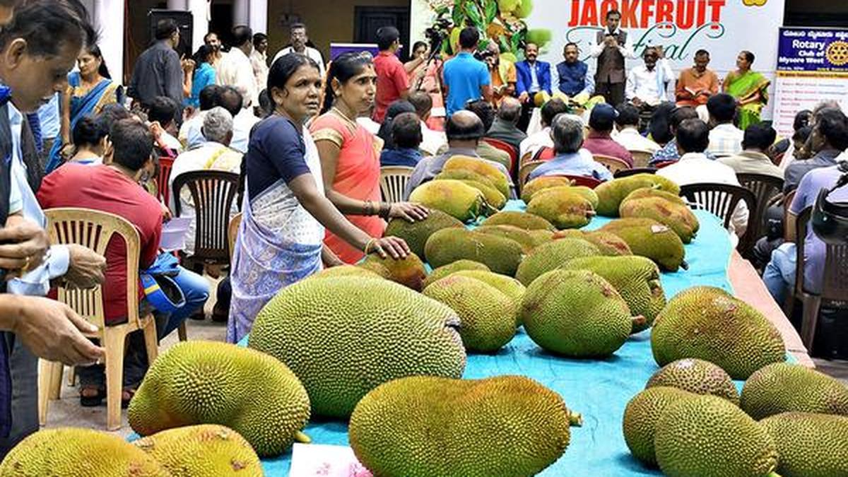 Jackfruit festival a huge draw - The Hindu