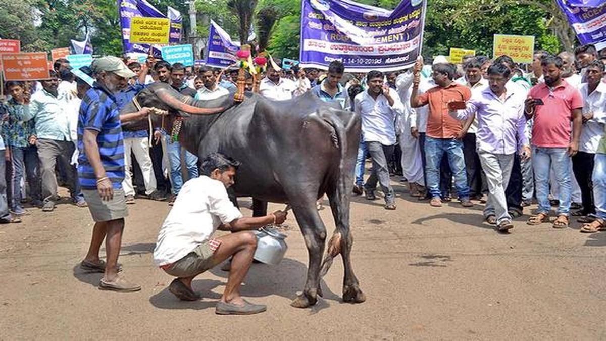 Dairy farmers take out protest march - The Hindu