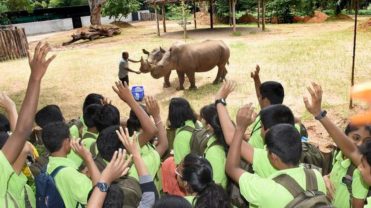 Mysuru zoo gets record number of visitors, thanks to Dasara - The Hindu