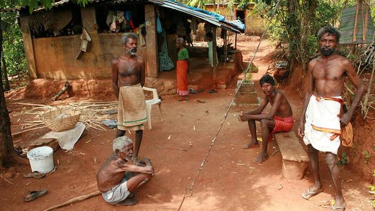 Numerically small tribals seek internal reservation - The Hindu