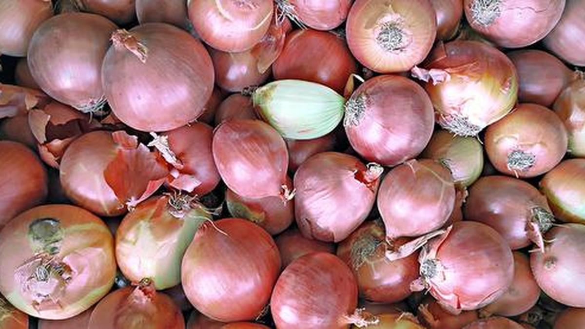 790 tonnes of imported onion reach India; some sent to A.P., Delhi: Govt. official - The Hindu