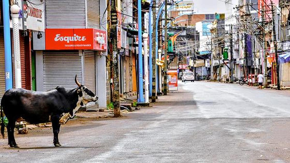 Lockdown near-total in Belagavi district - The Hindu