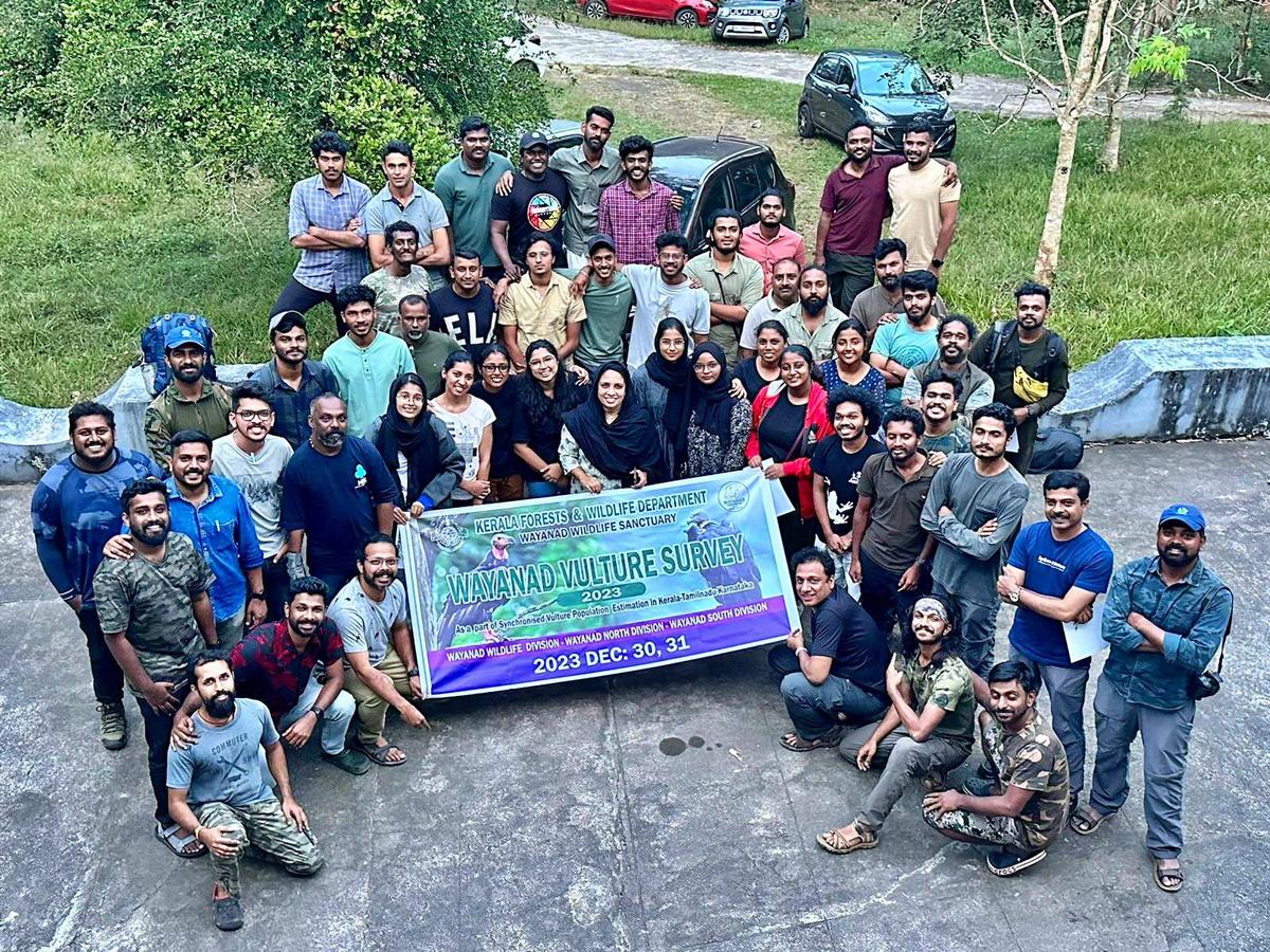 Synchronised vulture survey records 121 sightings in Wayanad - The Hindu