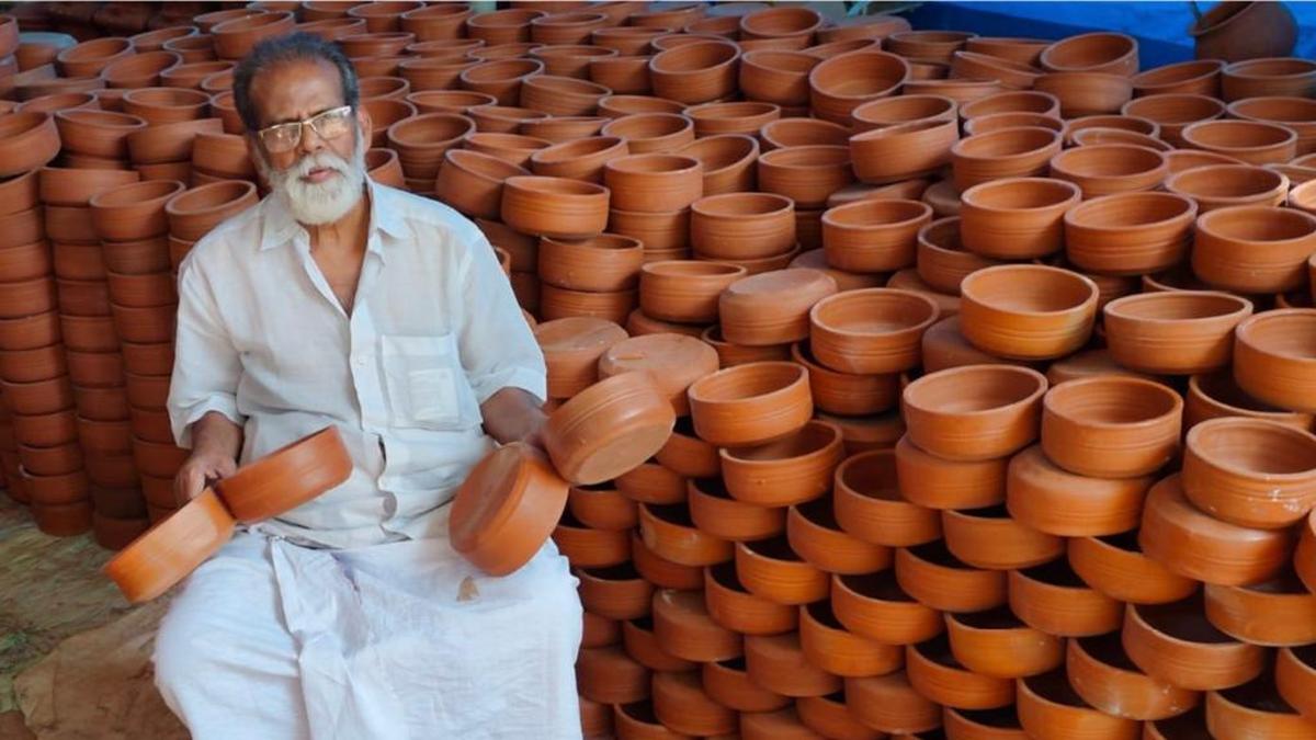 Green activist Sreeman Narayanan chosen for P.V. Thampy Award - The Hindu