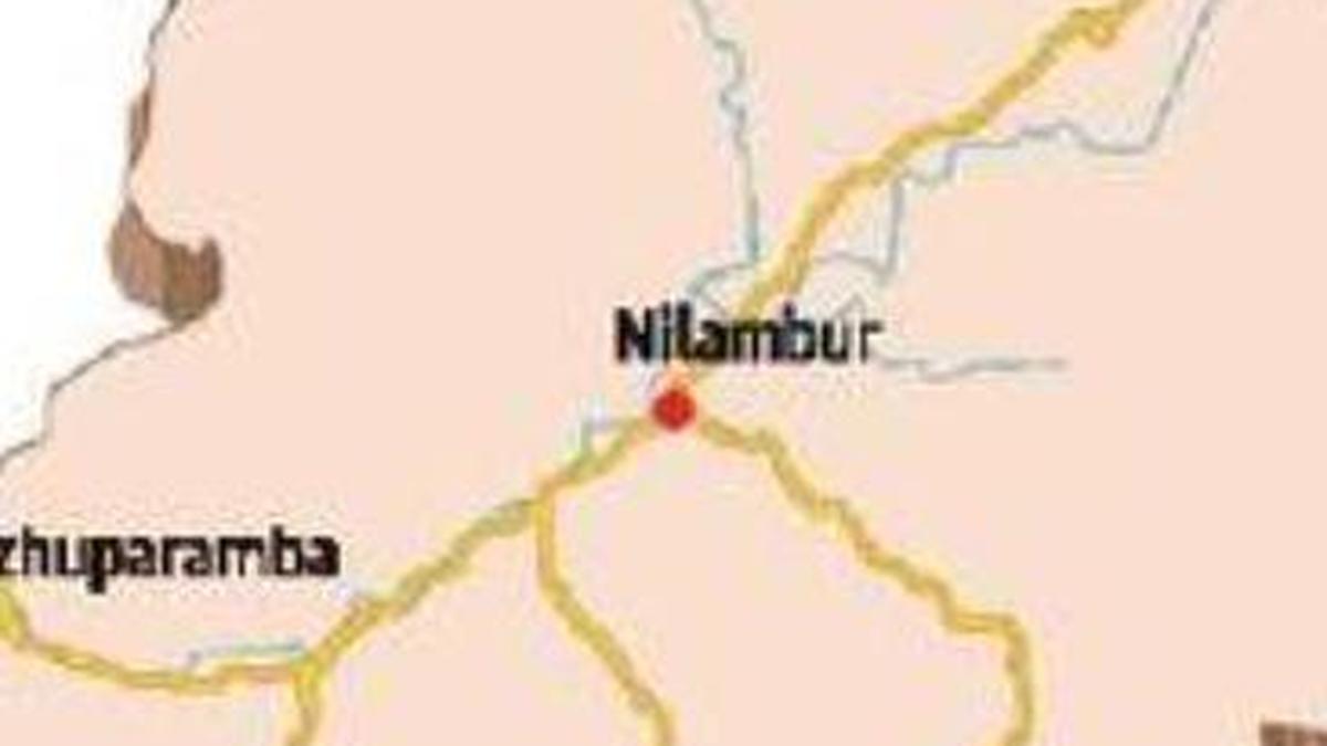 Kerala Assembly elections | All eyes on Nilambur - The Hindu