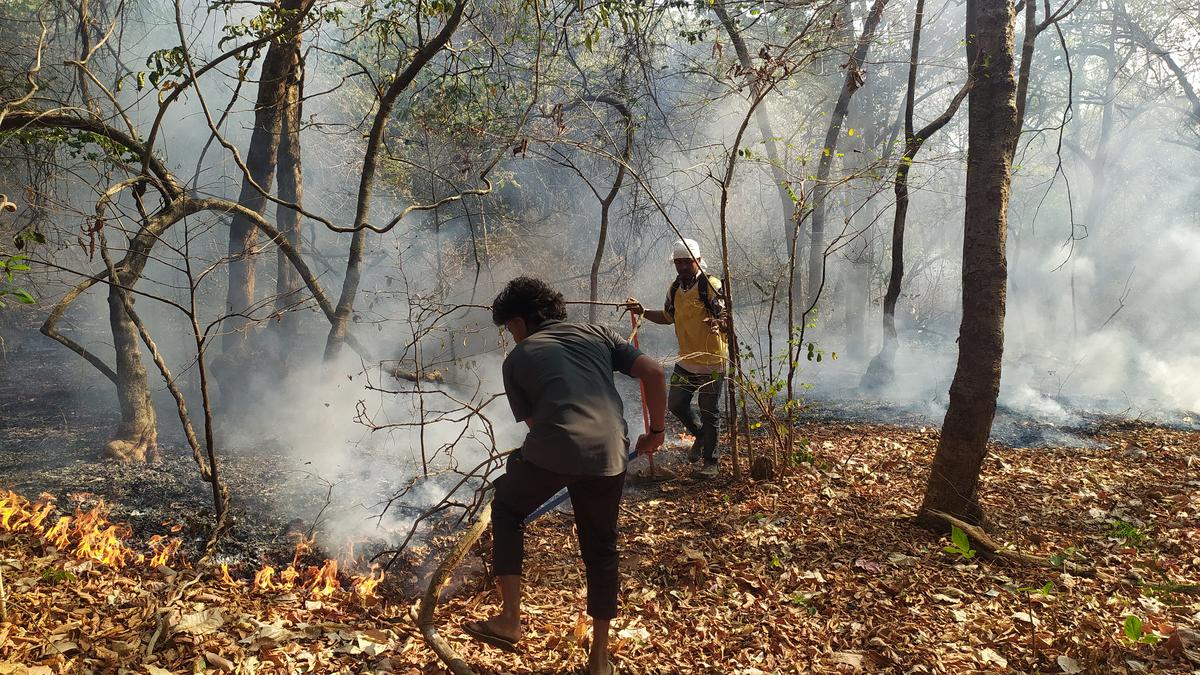 Fighting forest fires with a plan and community cooperation - The Hindu