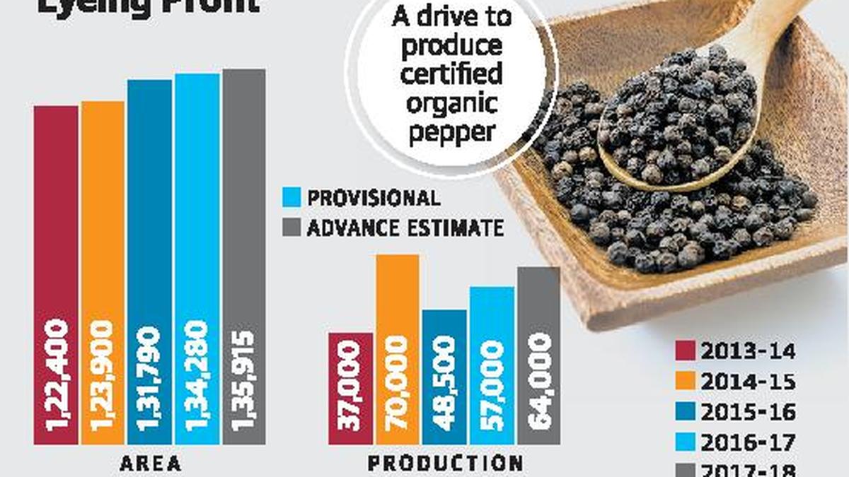 Roadmap to revive black pepper economy - The Hindu