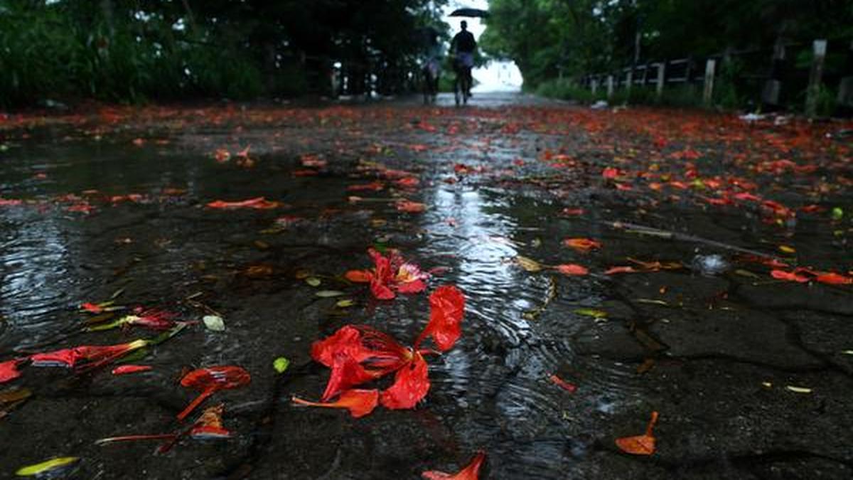 Widespread rainfall likely in Kerala; yellow alerts in southern and ...
