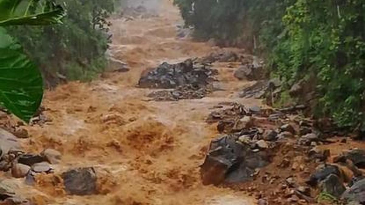 Heavy rain forecast for Kozhikode, Wayanad districts - The Hindu
