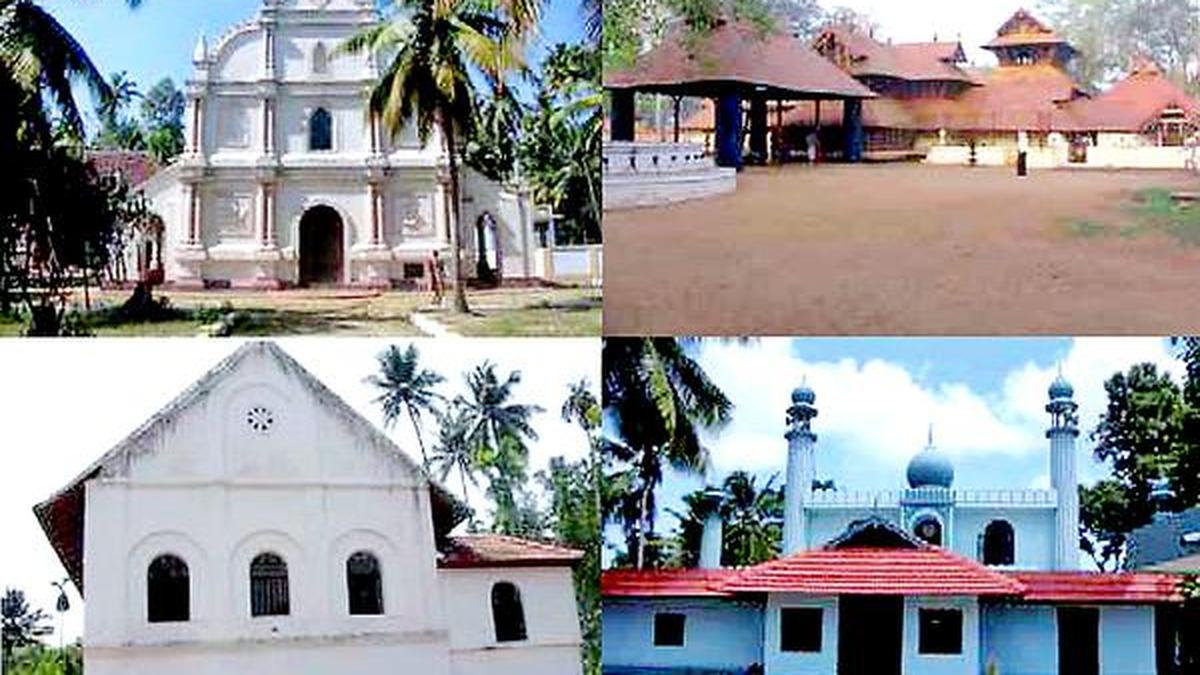 Muziris project to get going in 2020-21 - The Hindu