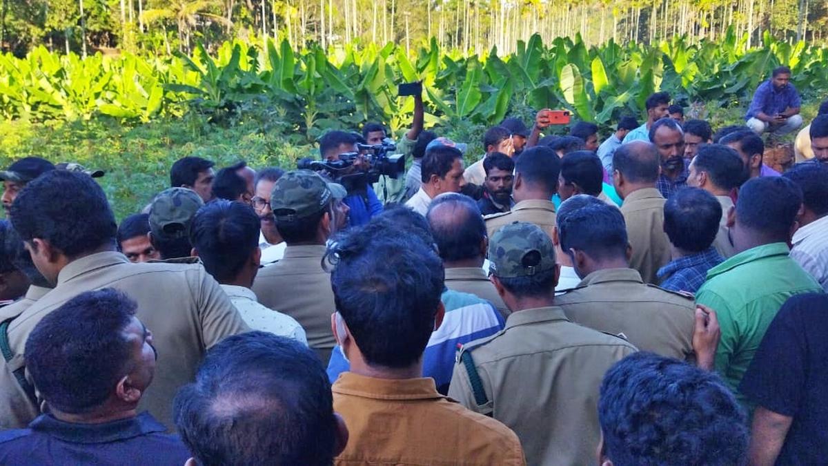 Farmer dies in tiger attack in Wayanad - The Hindu