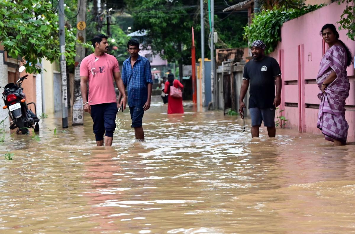 Rain destroys 16.56 hectare crop in Thiruvananthapuram, inflicting a ...
