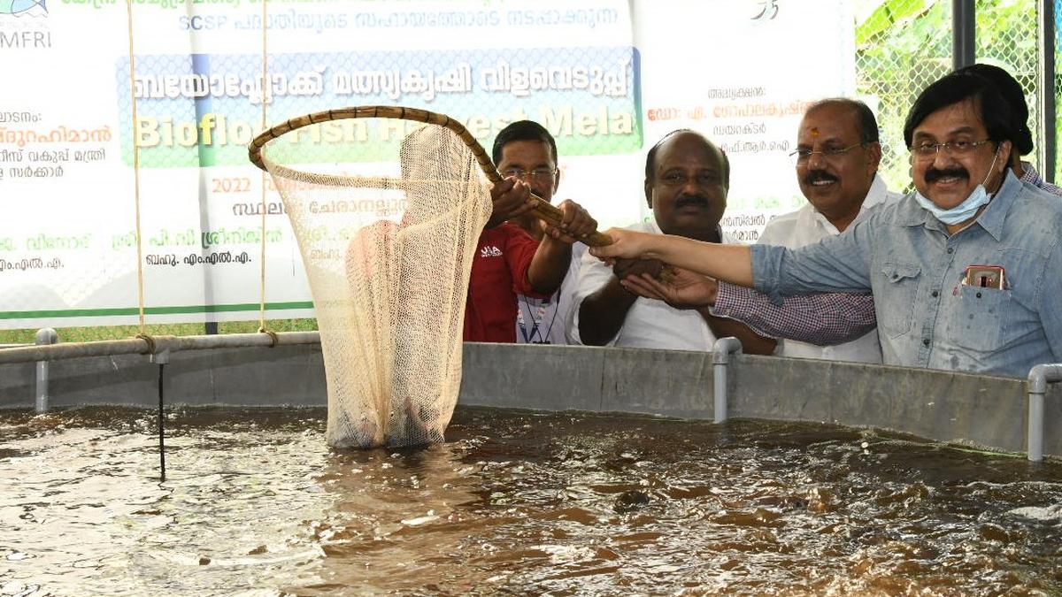 Biofloc farming success likely to boost aquaculture - The Hindu