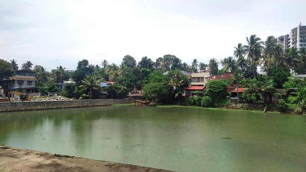 Row over Charachira pond work - The Hindu