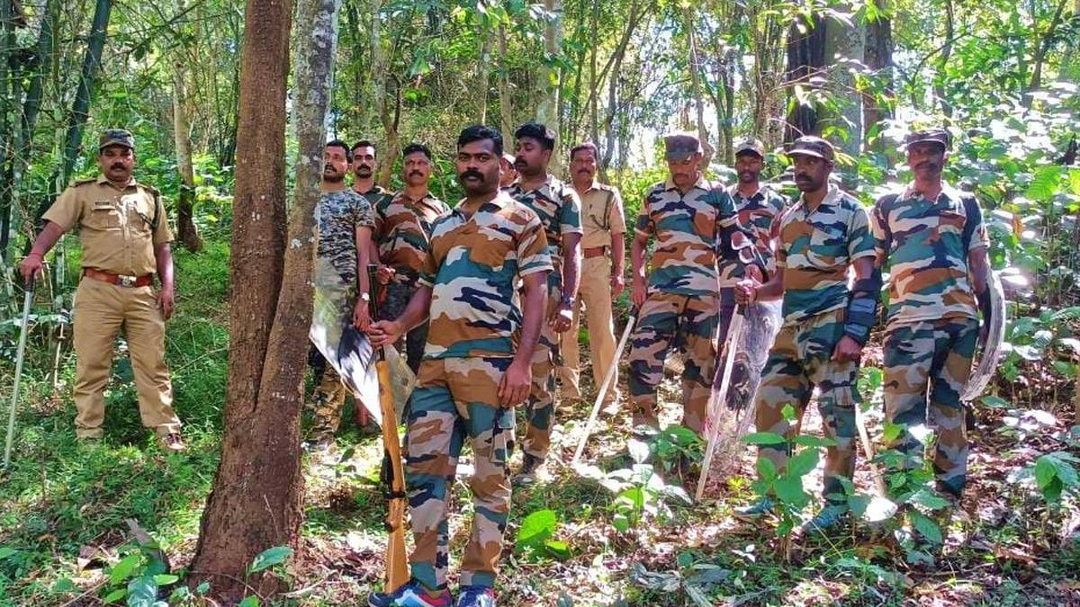 Operations intensified to capture tiger spotted at Vakery in Wayanad ...