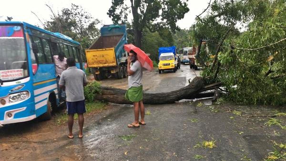 Rain claims life of six-year-old girl in Wayanad district, damages ...