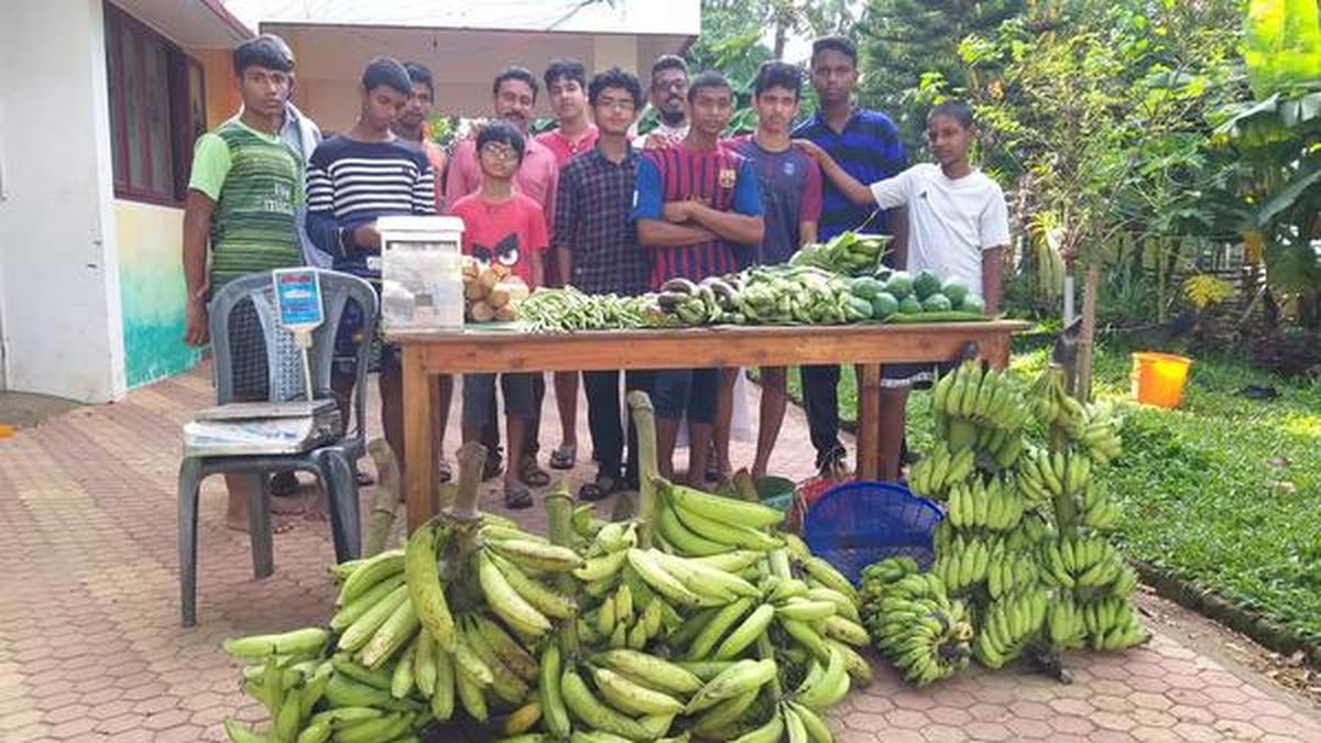 Buy farm fresh veggies, pay what you want - The Hindu