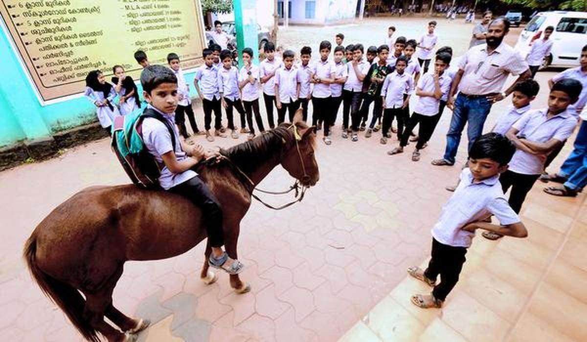 To school and back, on horseback - The Hindu