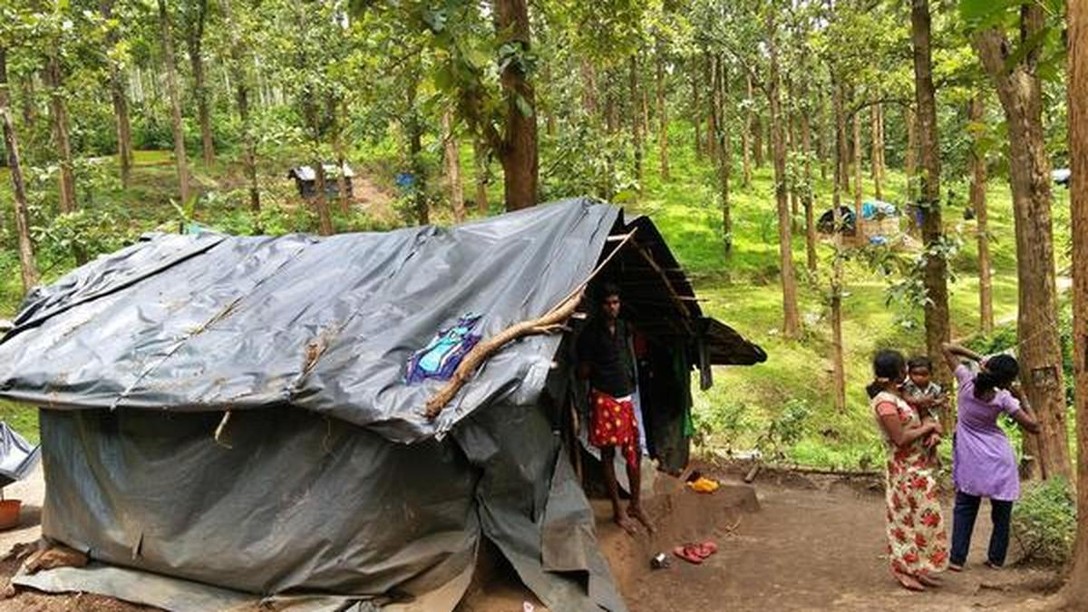 When tribes are in demand - The Hindu