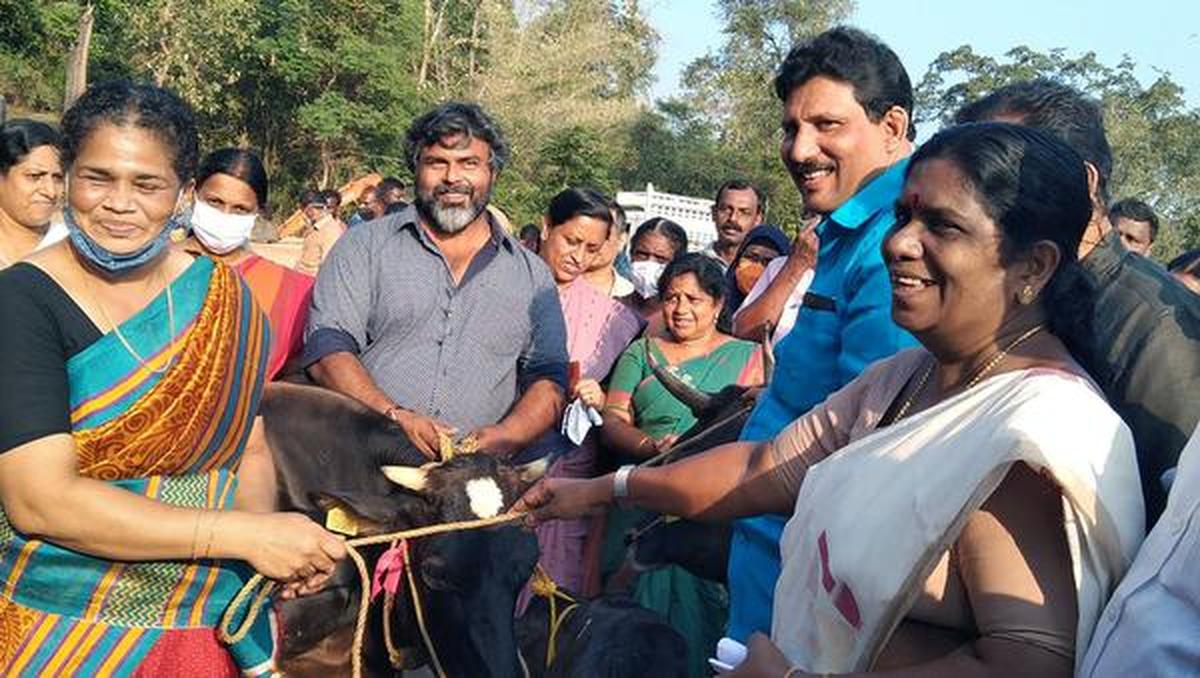 Cow subsidy project launched - The Hindu