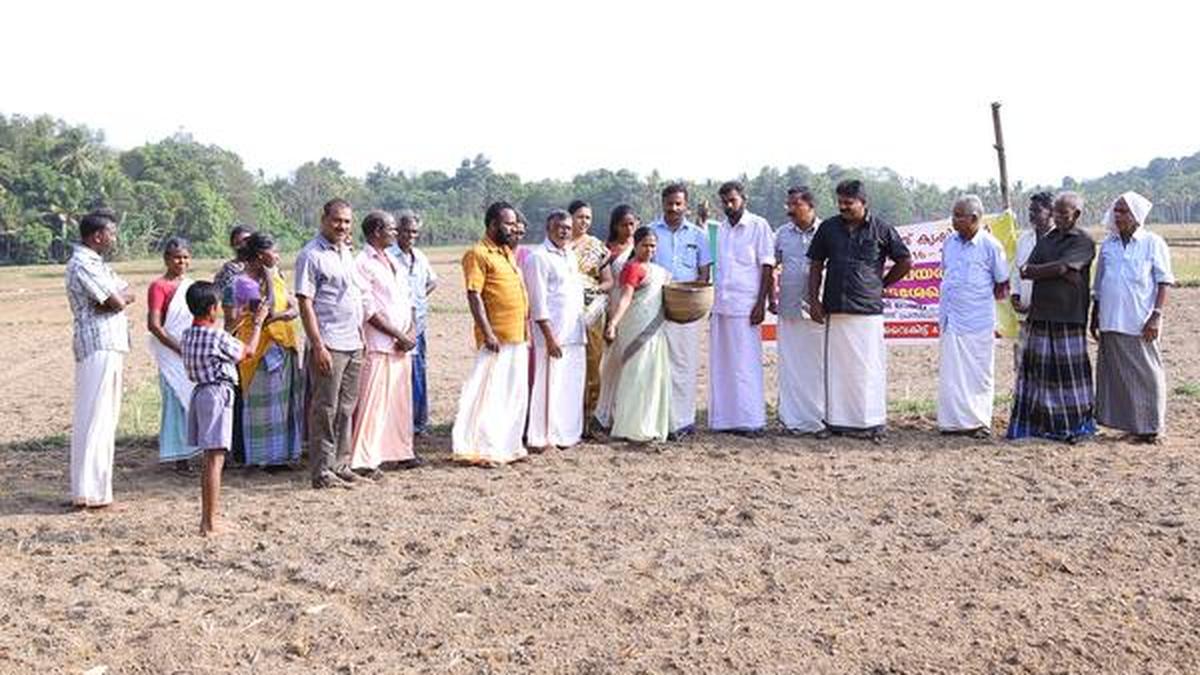 Farmers script a new story at Onattukara - The Hindu
