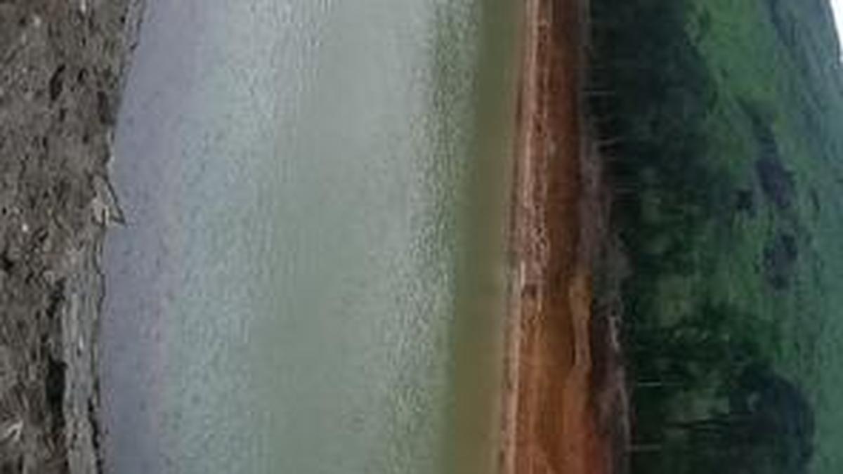 Check-dam that made history springs back to life - The Hindu