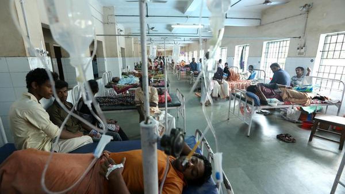 Government to go all out to tackle fever outbreak - The Hindu