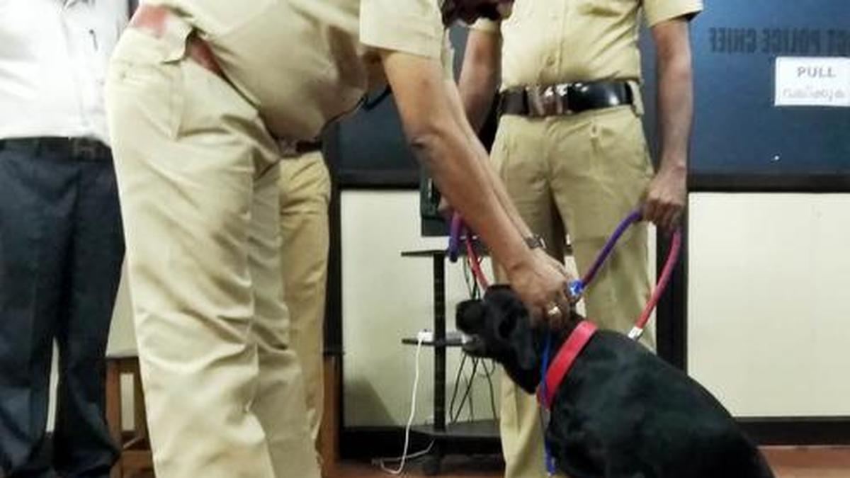 Award for sniffer dog - The Hindu
