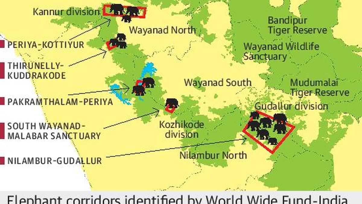 Path being cleared for elephant corridor project - The Hindu